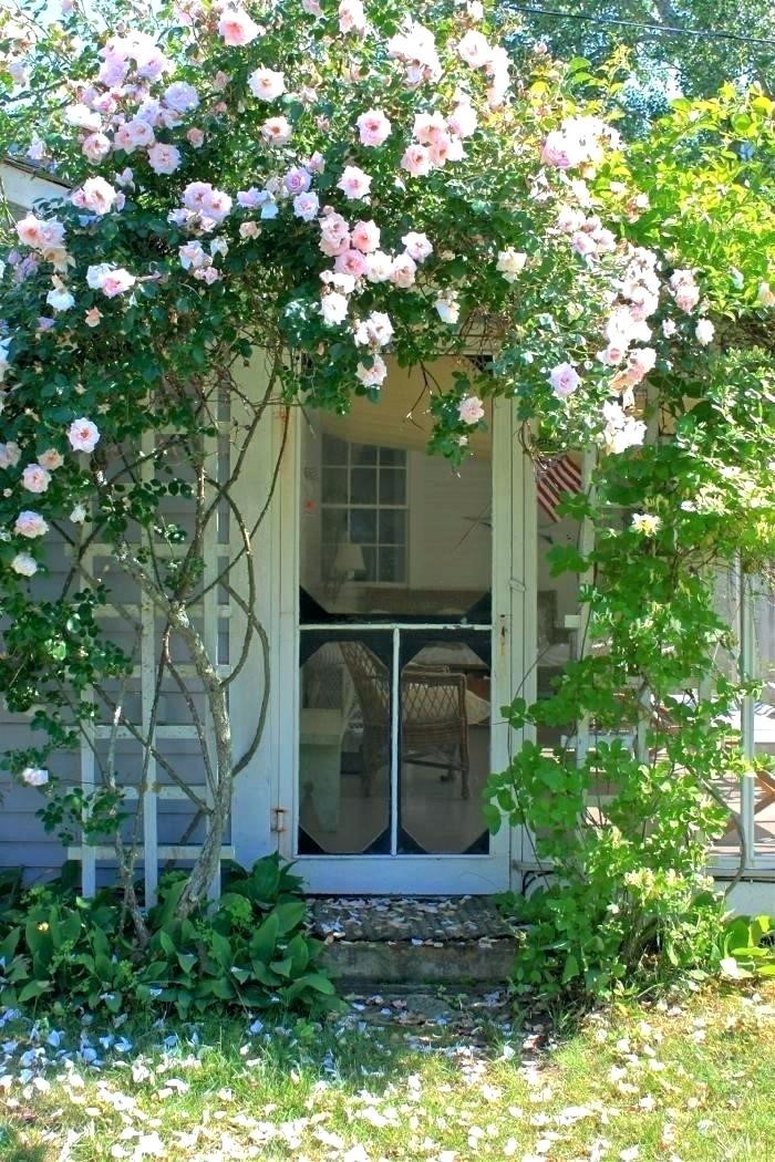 Online Summer Retreat - Contemplative Fire